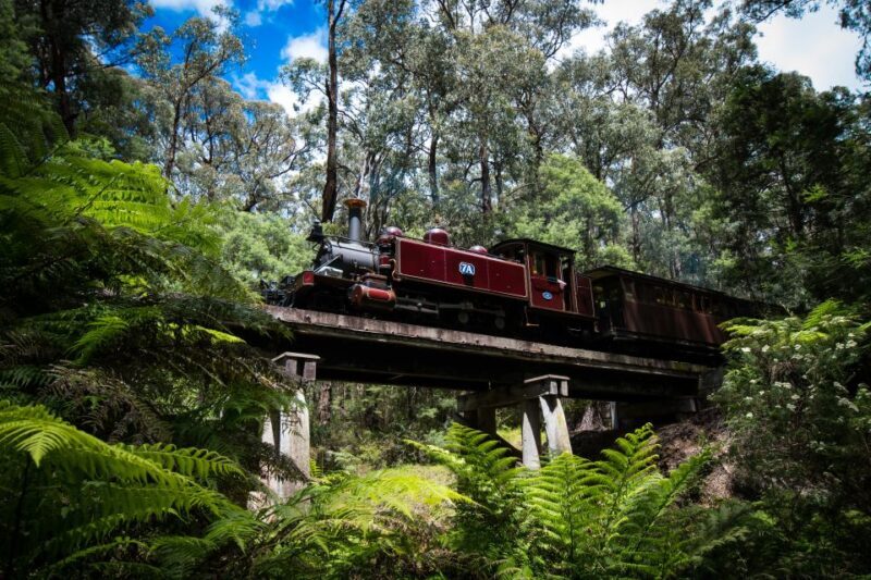 Puffing Billy Railway: Heritage Steam Train Journey - Value and Overall Impression