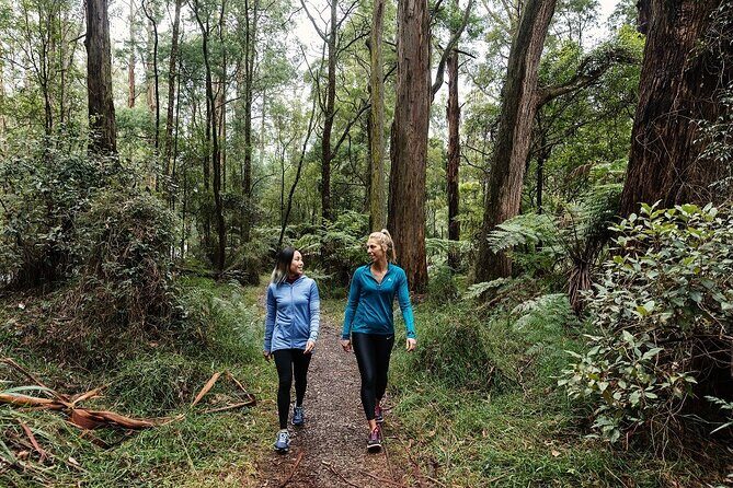 Puffing Billy & Rainforest Tour from Melbourne - An In-Depth Look at the Tour Experience