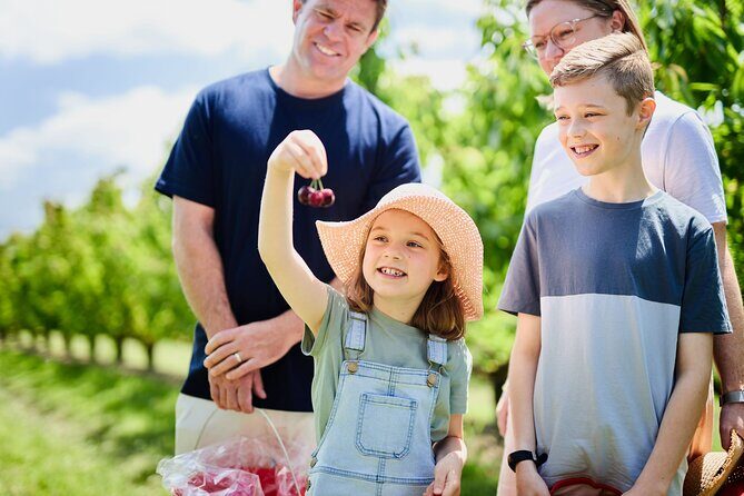 Puffing Billy Steam Train & Cherry Picking Tour from Melbourne - Key Points