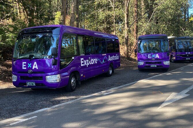 Puffing Billy Steam Train Rainforest Tour and Yarra Valley Treats - FAQ