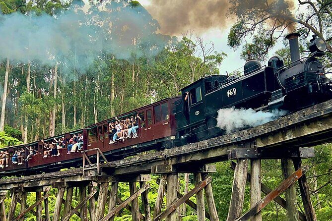 Puffing Billy Tour and Penguin Parade from Melbourne - Transportation and Guides