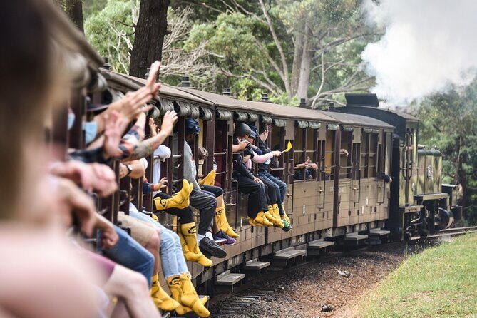 Puffing Billy Train and Penguins Wildlife Tour - Introduction