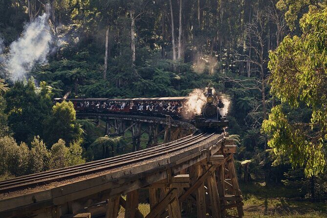 Puffing Billy Train&Healesville Sanctuary&Yarra Valley Wine Tour - Key Points