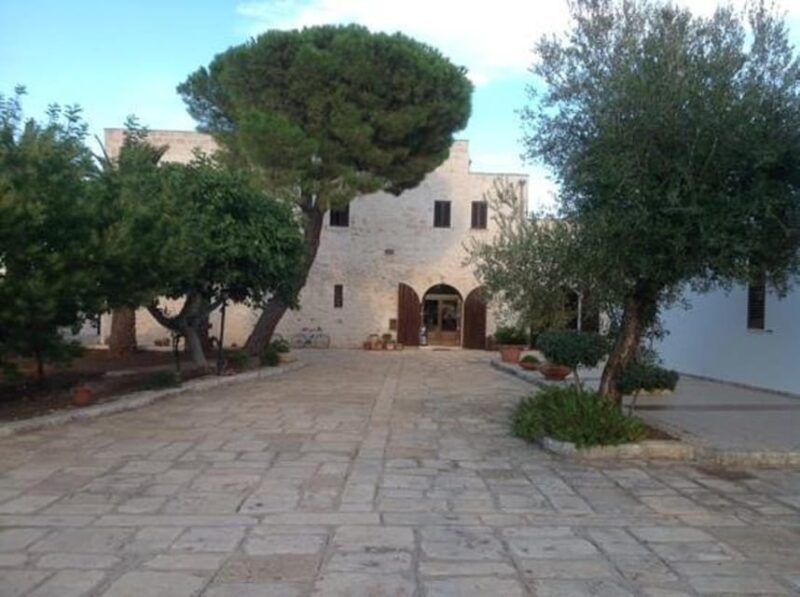 Puglia: Olive Oil Tasting Experience with Olive Grove Walk - Who Should Consider This Experience?