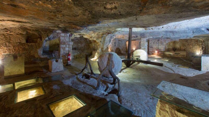 Puglia: Olive Oil Tasting Experience with Olive Grove Walk - FAQs