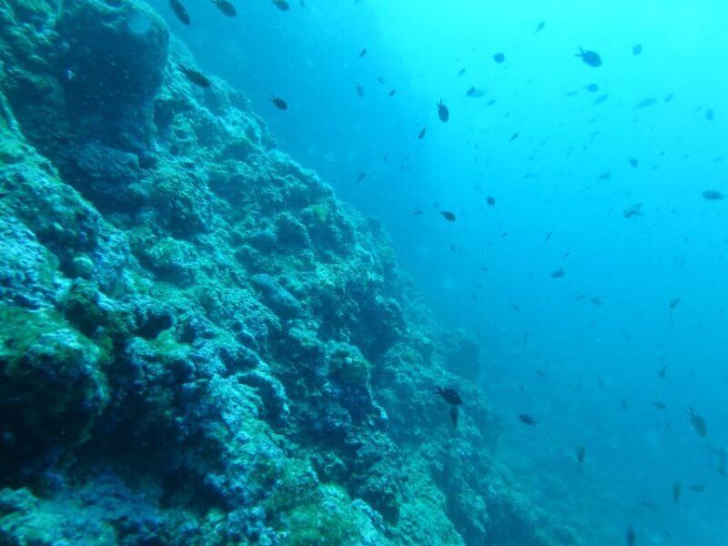 Pula: 2.5-Hour Snorkelling Experience - Final Words