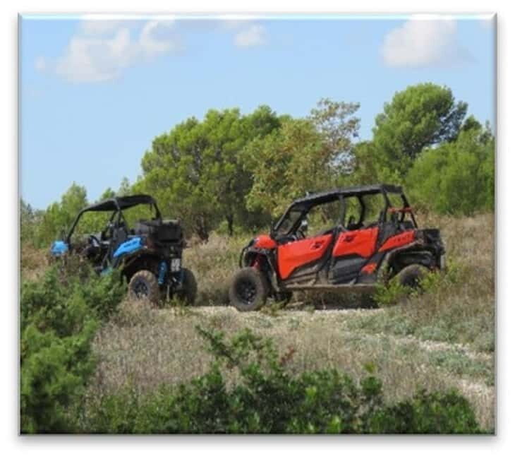 PULA AND ROVINJ: BUGGY FAMILY SAFARI 1, 2 & 4 H - Key Points