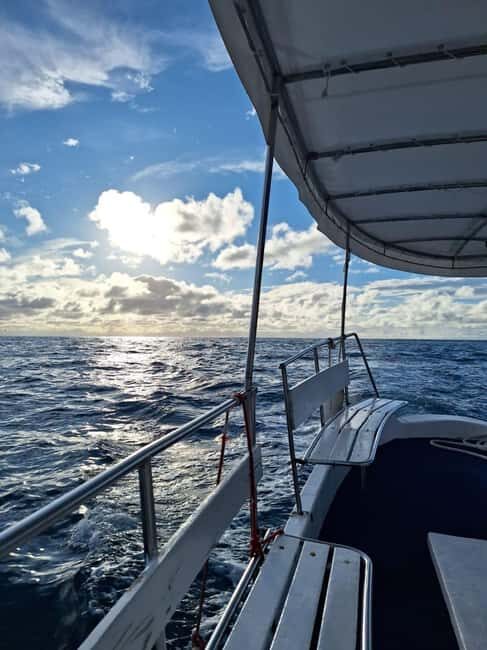 Pula: Boat Tour with Swimming and Snorkeling - Final Thoughts: Who Is This Tour Best For?