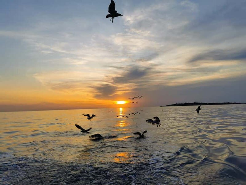 Pula: Brijuni Dolphin Watching cruise with Dinner & Sunset - FAQ