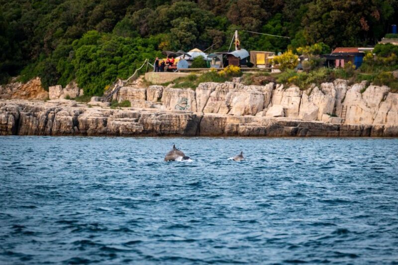 Pula: Brijuni National Park Sunset, Dolphins & Dinner Cruise - The Food and Drinks