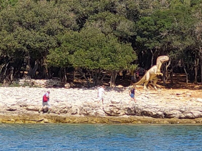 Pula: Brijuni National Park & Swimming Tour (in Faana) - Practical Tips for Booking & Enjoying the Tour