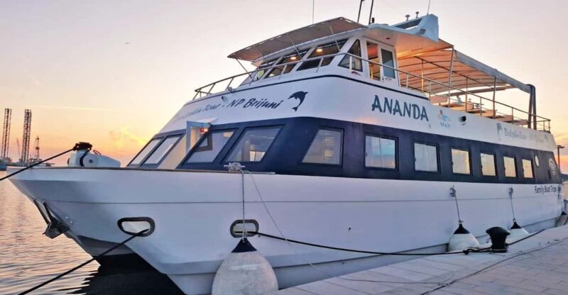 Pula: Dolphin Sunset Cruise to Brijuni with Dinner & Drinks - Key Points