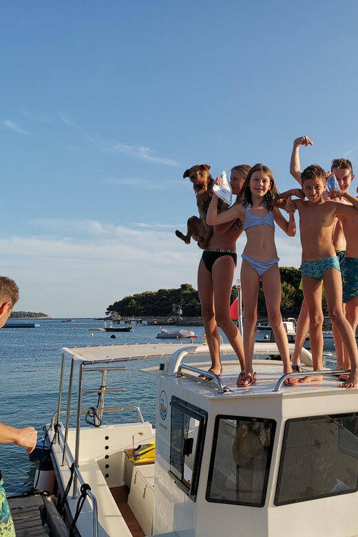 Pula Dolphin Watching Boat Trip - The Practical Side: Pricing, Group Size, and Booking