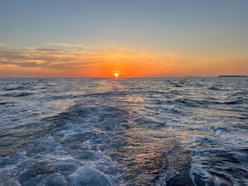 Pula: Dolphin Watching Sunset Cruise with Dinner & Drinks - Who is This Tour Best For?