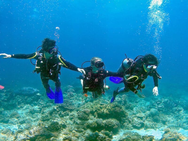 Pula: Introduction to Scuba Diving - Authentic Traveler Feedback