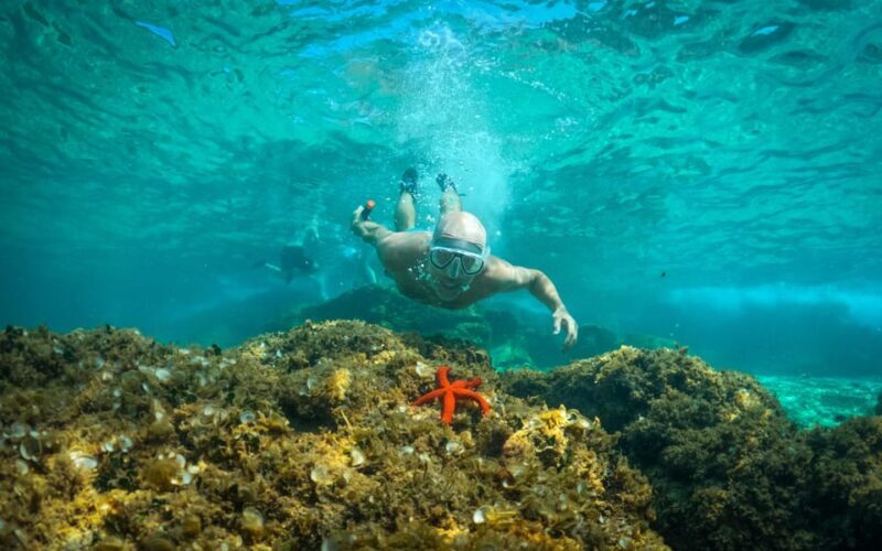 Pula: Kayaking,Snorkeling, Cliff jumping Tour with Wetsuit - Pula: Kayaking, Snorkeling, Cliff Jumping Tour with Wetsuit — A Truly Active Coastal Adventure