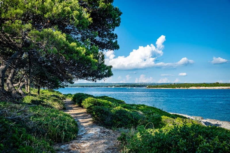 Pula: National Park Brijuni/2 swimming stops/lunch/drinks - What You Need to Know Before Booking