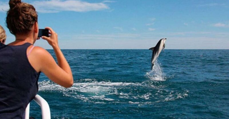 Pula: National Park Brijuni Island Visit & Dolphin Cruise - Final Thoughts