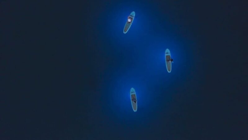 Pula: Night LED Stand-Up Paddle Board Tour - How the Experience Earns Raves