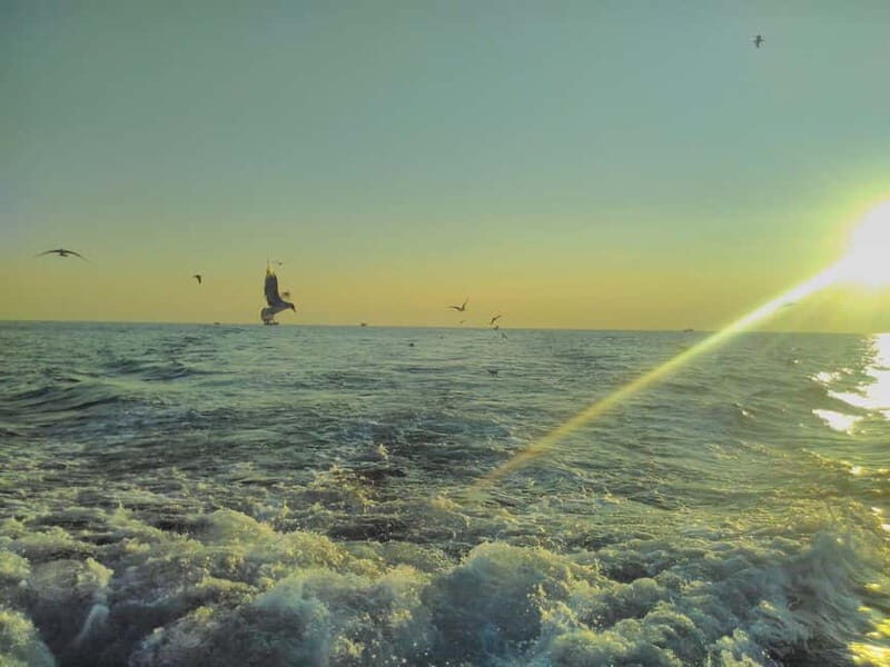 Pula: Private Boat Excursion Mediterranea - The Sum Up