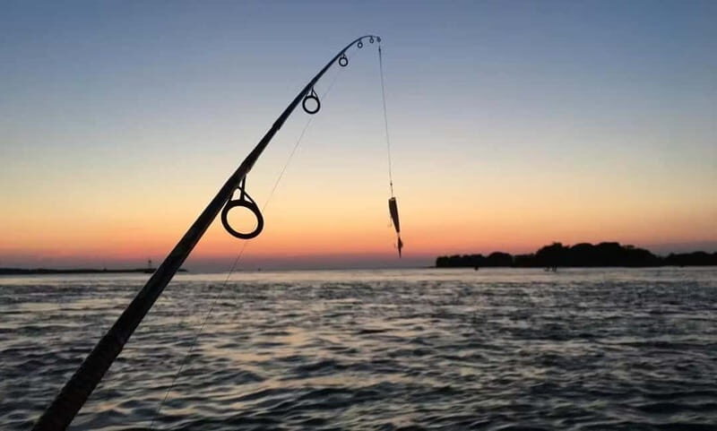 Pula: Private Boat Fishing Trip with Local Fisherman - Key Points
