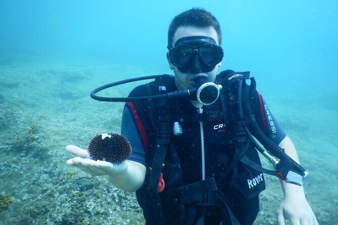 Pula PRIVATE Discover Scuba Diving - A Closer Look at What the Tour Offers