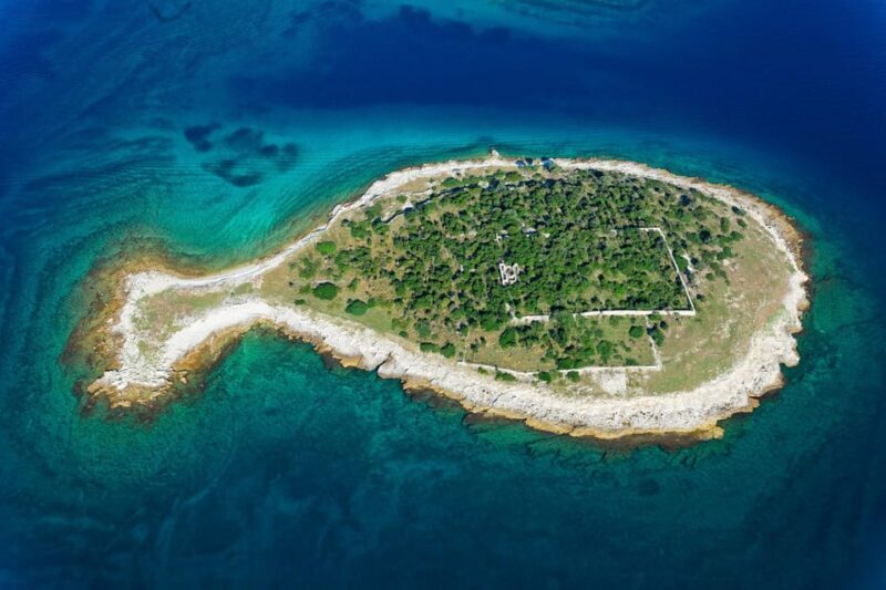 Pula: Private Dolphins & Sunset Tour With Dinner & Drinks - Key Points