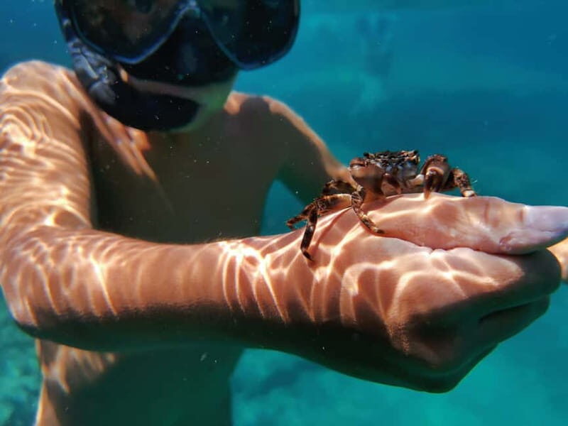 Pula: Sea Adventure  Boat, Kayak, Snorkeling & Cliff Jumps - FAQs