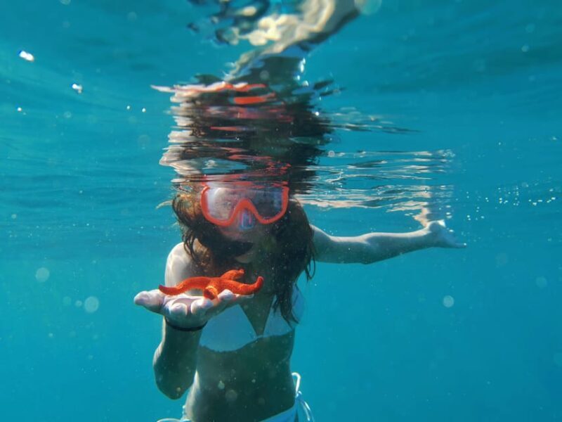 Pula Snorkeling Adventure Boat Trip - Key Points