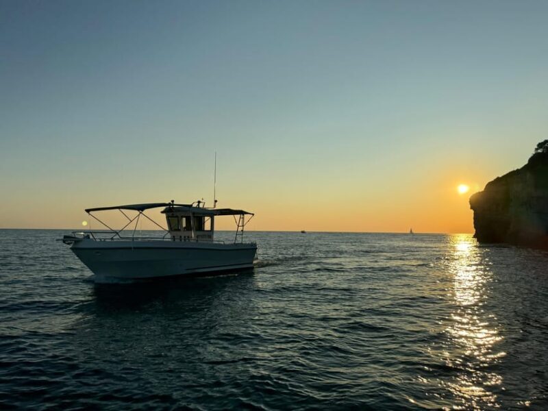 Pula: Sunset Dolphin Watching Boat Tour around N.P Brijuni - The Sum Up
