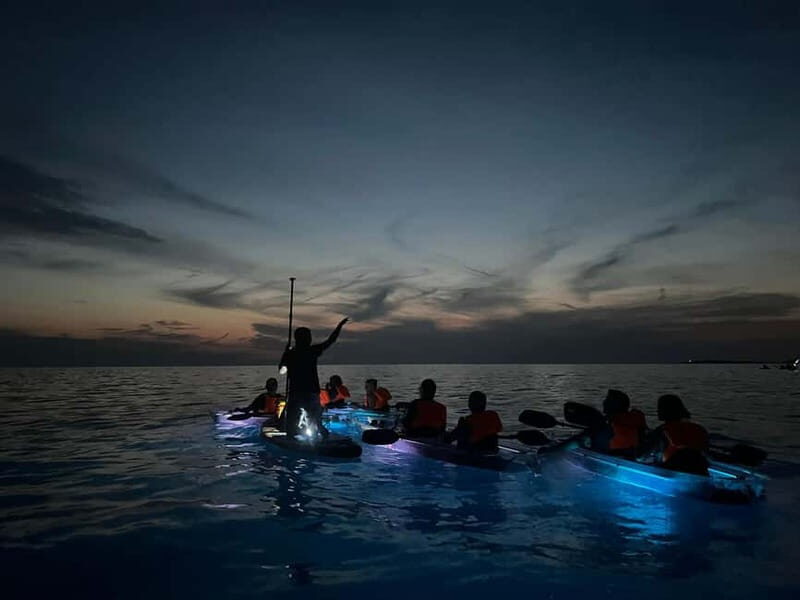 Pula: Sunset/Night Illuminated Transparent Kayak Tour - What’s Included and What to Expect