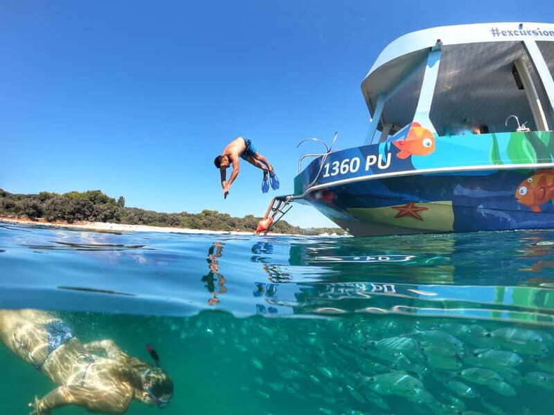 Pula Verudela: Glass-Bottom Boat and Swim with Fish Tour - What to Expect from Your Marine Adventure