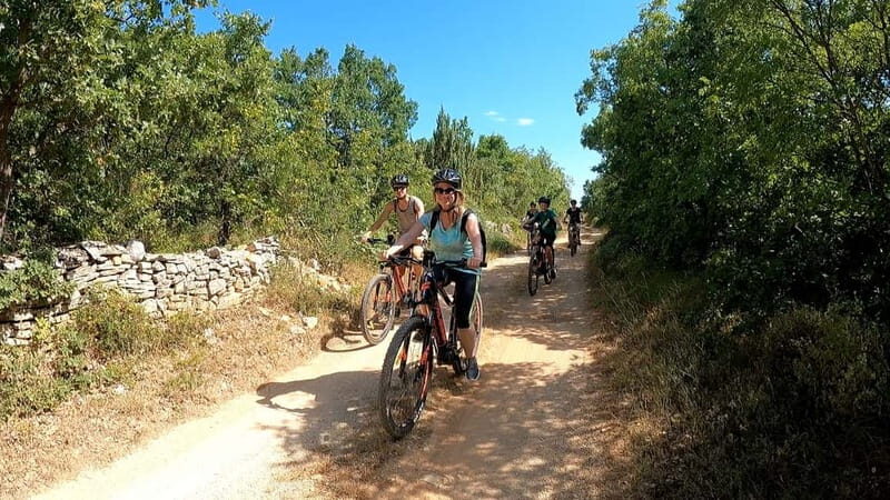Pula-Vodnjan-Rovinj: E-Bike Tour with traditional dinner - Who Should Consider This Tour?