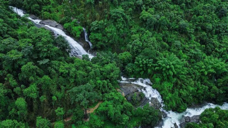 Pullikanam : Tea Estate Tour from Kochi  Closer than Munnar - Key Points