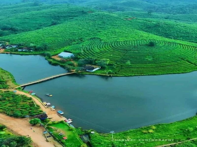 Pullikanam : Tea Estate Tour from Kochi  Closer than Munnar - FAQ