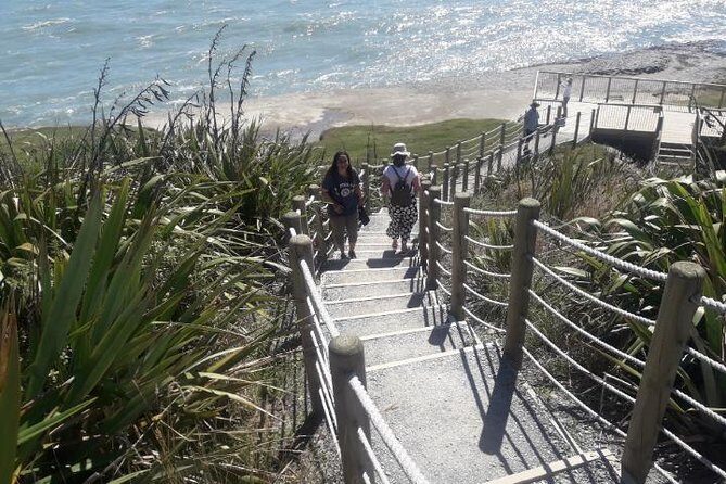 Punakaiki Blow Holes & Pancake Rocks Scenic Tour - What You’ll Take Away from This Tour