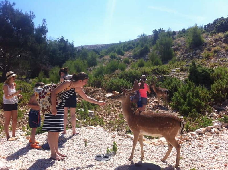 Punat: Grgur, Goli, Rab, and Krk Island Boat Trip with Lunch - Key Points