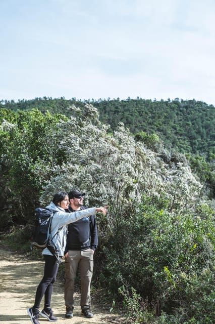 Punta Baffe: hiking immersed in the Mediterranean bush overlooking the sea - Key Points