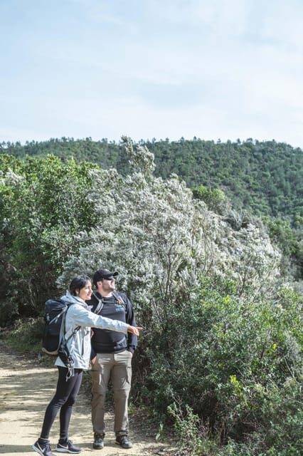 Punta Baffe: hiking immersed in the Mediterranean bush overlooking the sea - Exploring the Punta Baffe Guided Hike
