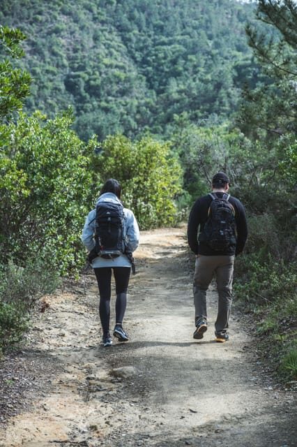 Punta Baffe: hiking immersed in the Mediterranean bush overlooking the sea - Why Choose This Tour?