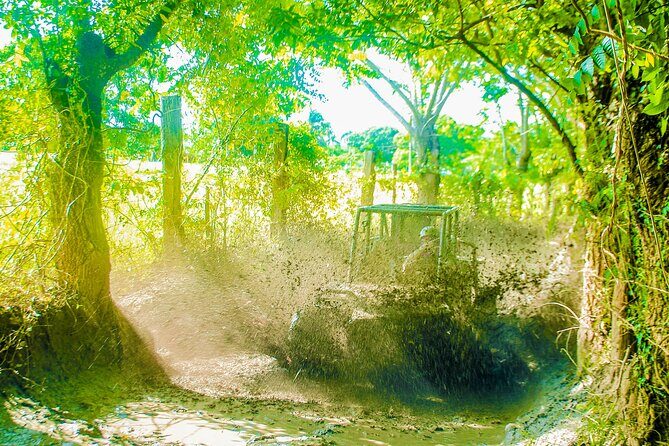 Punta Cana 4 Hours Buggy Tour Cave Macao Beach Free Pick Up - The Group Dynamics and Timing