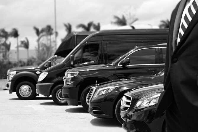 Punta Cana Airport Pick Up - Hotel Transportation Service - Key Points