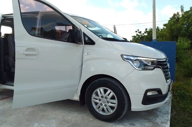 Punta Cana Airport PUJ Transfer Roundtrip to Hotels - Who Is This Transfer Best For?