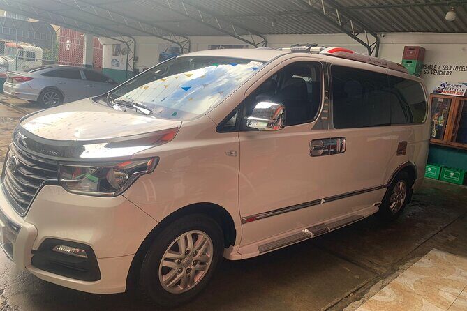 Punta Cana Airport Rides - The Experience: What You Can Expect from Punta Cana Airport Rides