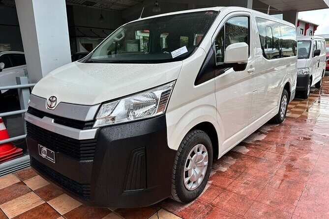 Punta Cana Airport to La Romana and Bayahibe Hotels (up to 70 km) - Who Will Love This Service?