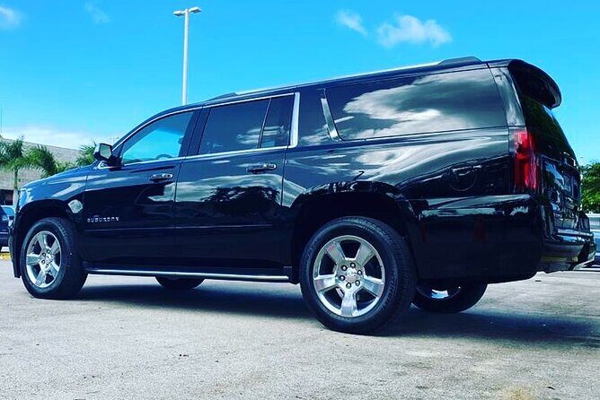 Punta Cana Airport Transfer Bavaro Suburban Trip - The Sum Up: Who Is This Transfer Best For?