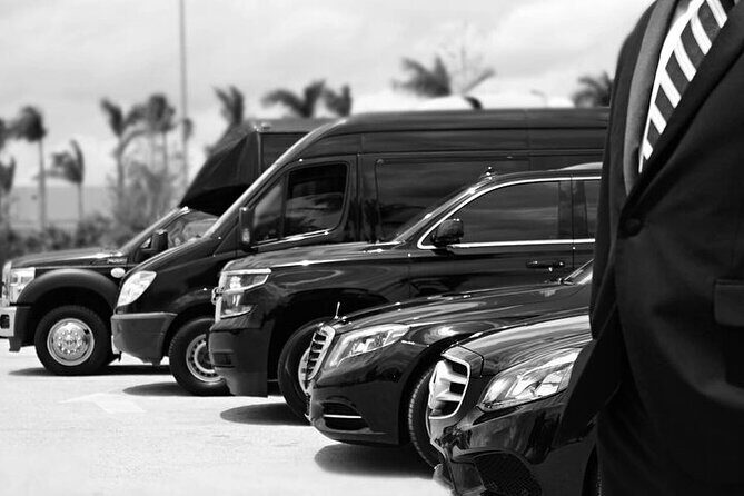 Punta Cana Airport Transfers - An In-Depth Look at Punta Cana Airport Transfers