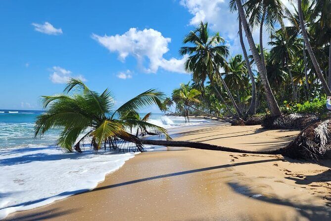 Punta Cana: Amazing ATV Adventure Private Road & Beach W/ PickUp - What to Expect from This Punta Cana ATV Tour