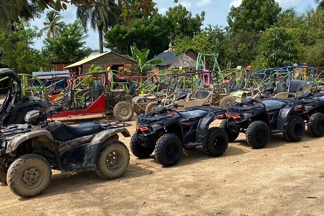 Punta Cana: Amazing Buggy Off Road Macao Beach Cenote - An In-Depth Look at the Tour Experience