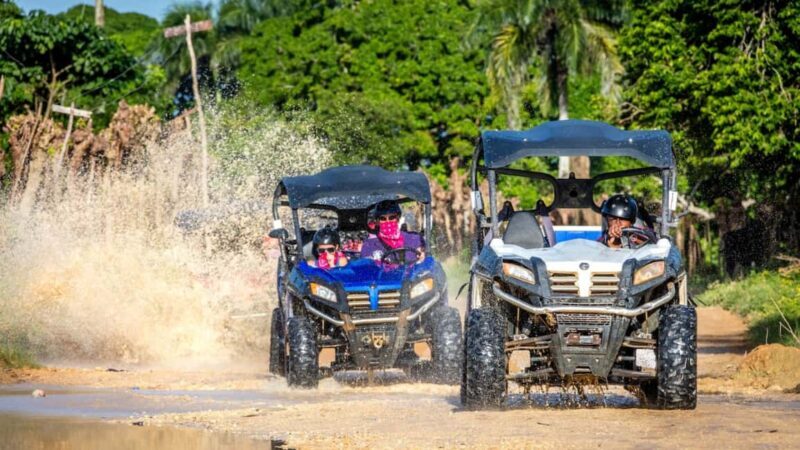 Punta Cana: Amazing Buggy Polaris and 4wheels - Key Points
